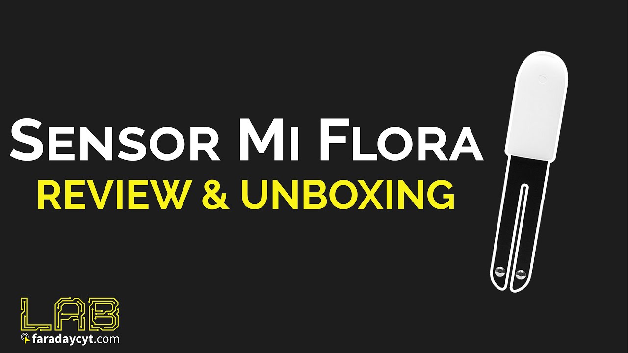 Sensor Mi Flora - Review & Unboxing | Faraday CyT - YouTube