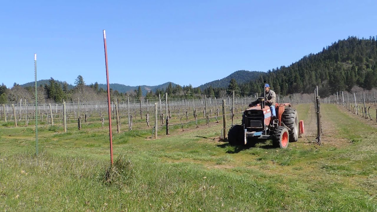 Spring Mowing at Draper Valley Vineyard - YouTube