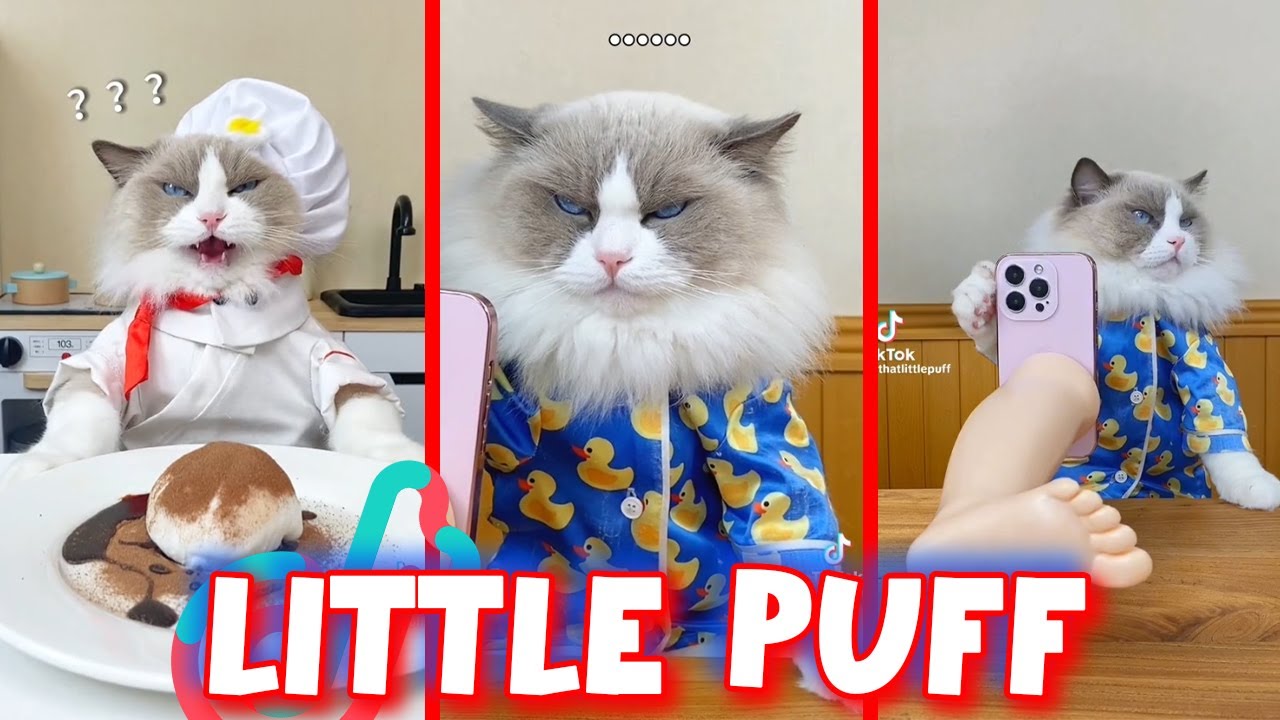 That Little Puff | COMEDY VIDEOS - YouTube