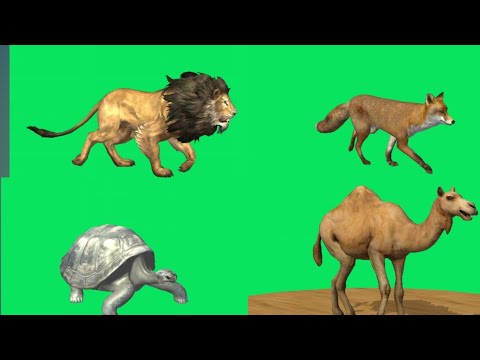 Best animals green screen || cartoon animation story || no copyright ...