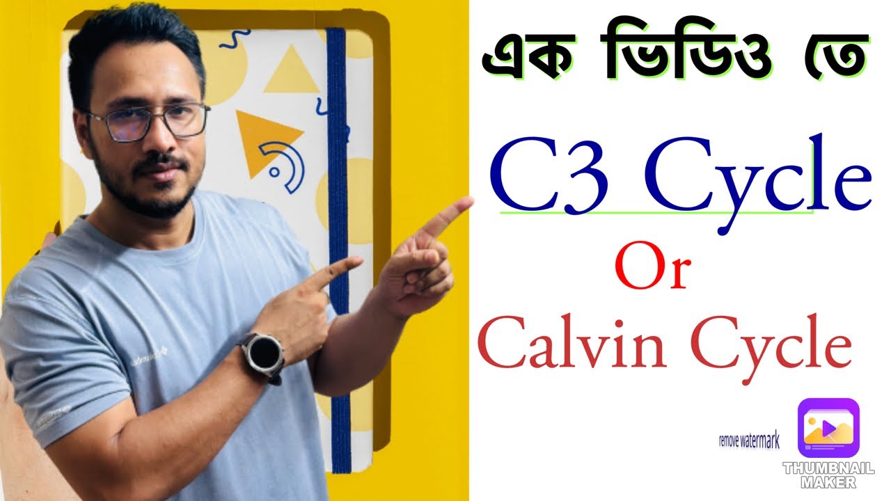 C3 Cycle of Photosynthesis | Details of Calvin Cycle|ক্যালভিন চক্র |C3 ...