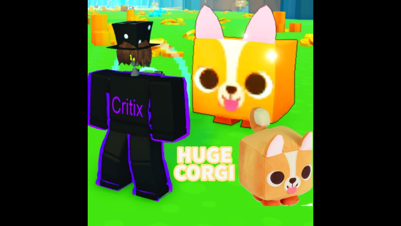Unboxing And Redeeming Huge Corgi Plushie From Pet Simulator X - YouTube