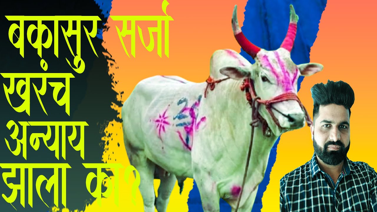 बकासुर सर्जा खरंच अन्याय झाला का? | bakasur sarja pusegav | bailgada ...