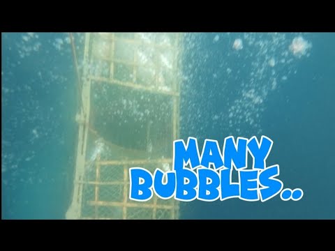 Maraming butok/ bubbles sa aming fishtrap. - YouTube