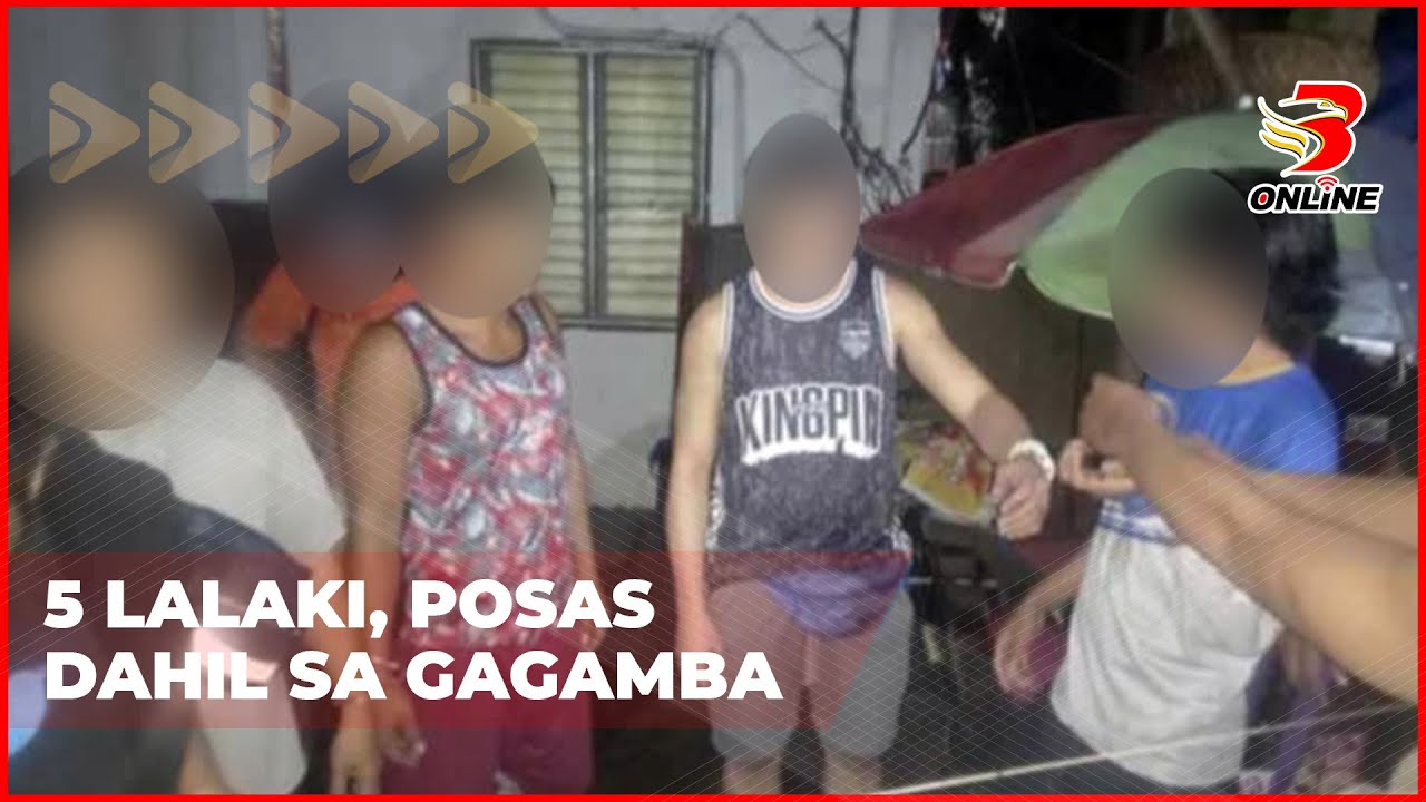 5 lalaki, posas dahil sa gagamba - YouTube