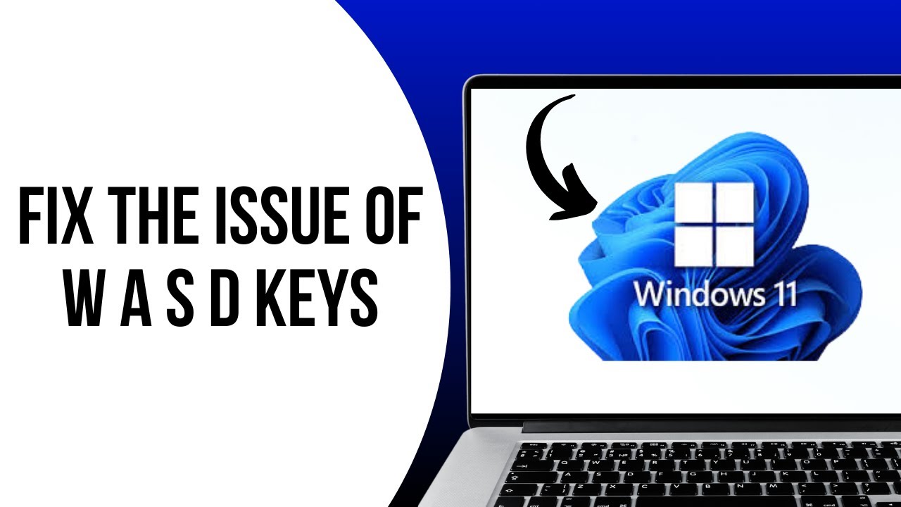 How to Fix The issue with W A S D Keys With Arrow Keys in Windows 11 ...