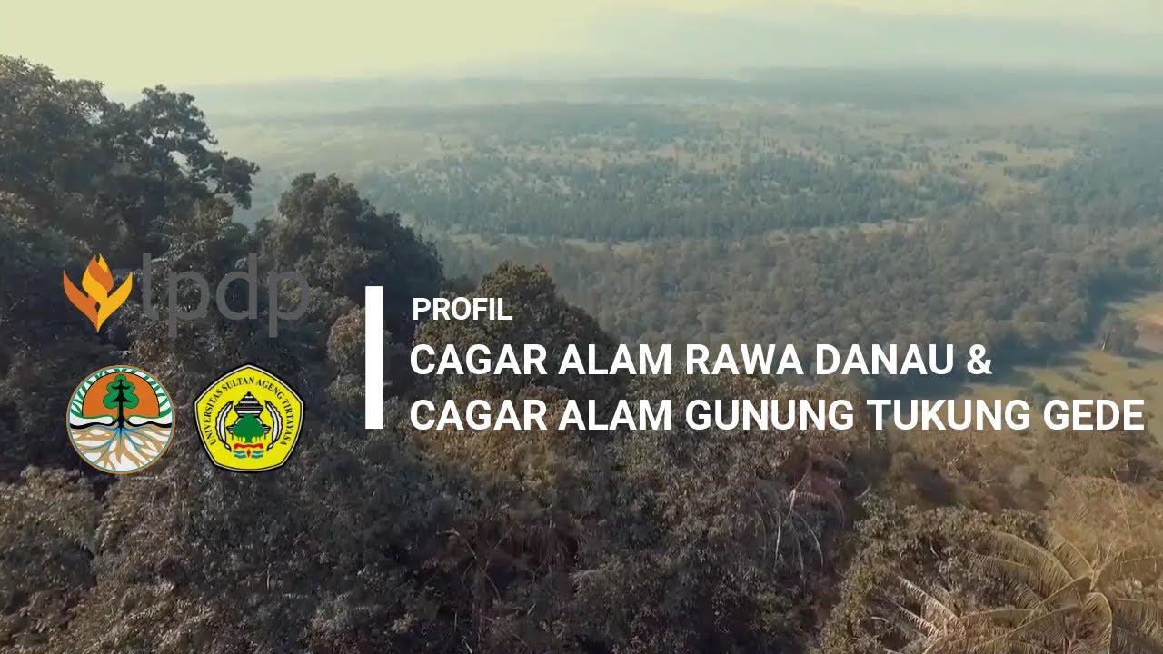Profil Cagar Alam Rawa Danau dan Gunung Tukung Gede - YouTube