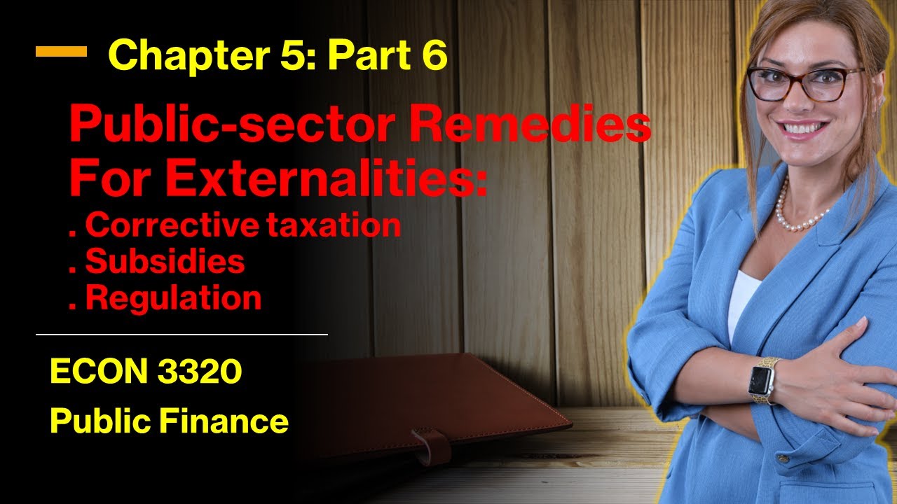 Government Tools for Externalities: Corrective taxation & Subsidies ...