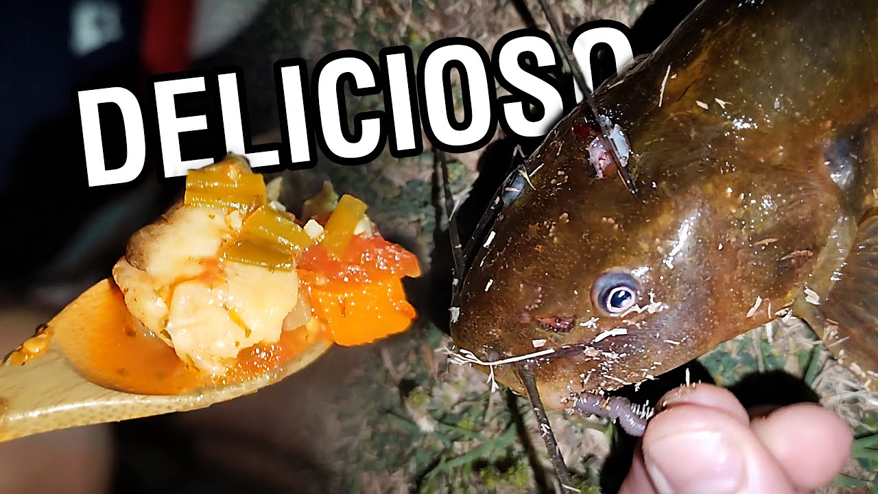 PESCA Y COCINA DE BAGRE DE ARROYO DELICIOSO / pescado grande con ...