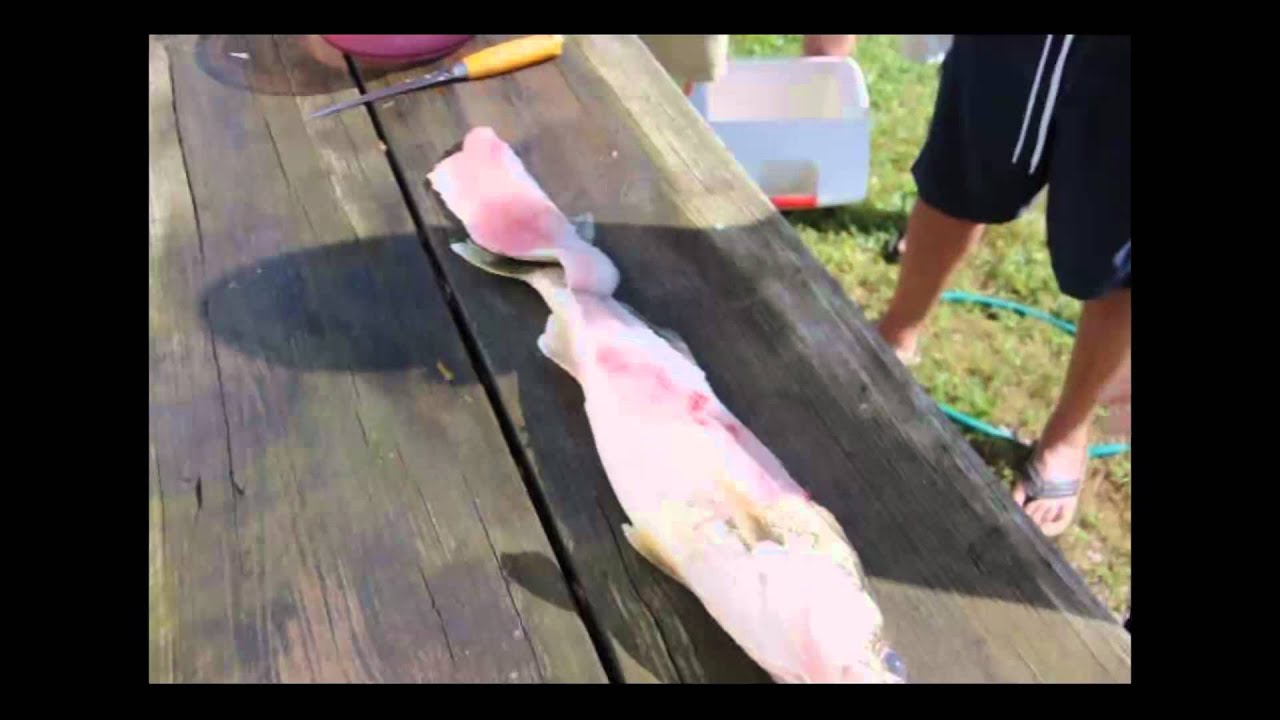 How to Canadian Fillet a Walleye - YouTube