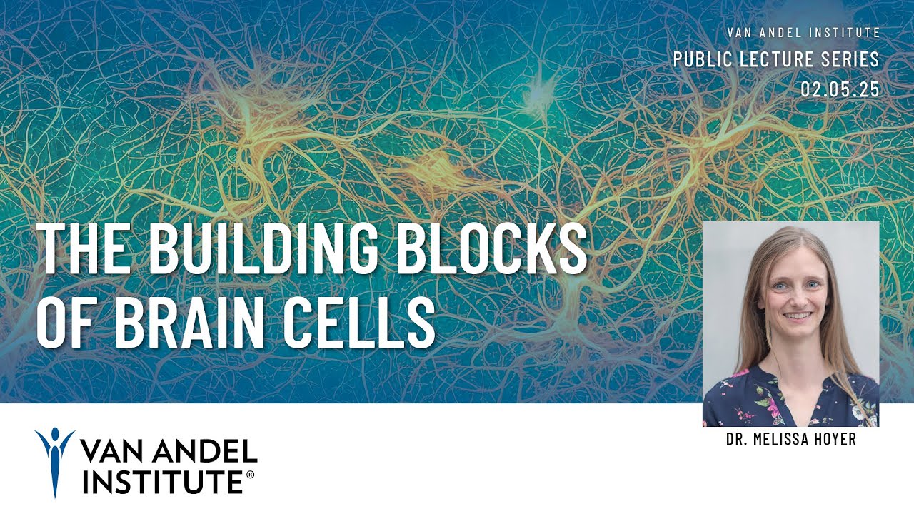 The Building Blocks of Brain Cells - YouTube