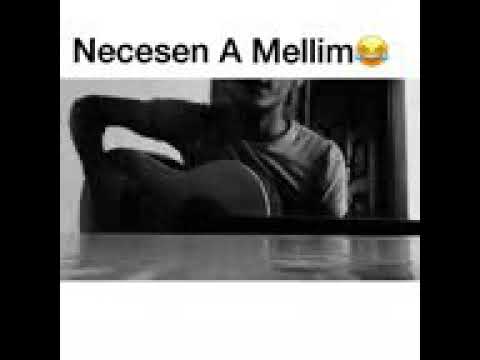 Necesen a mellim