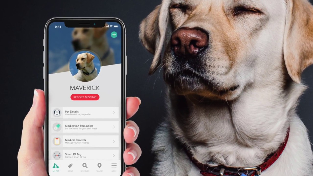 Fetch Labs - YouTube