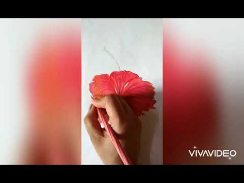 Live Object Painting - YouTube