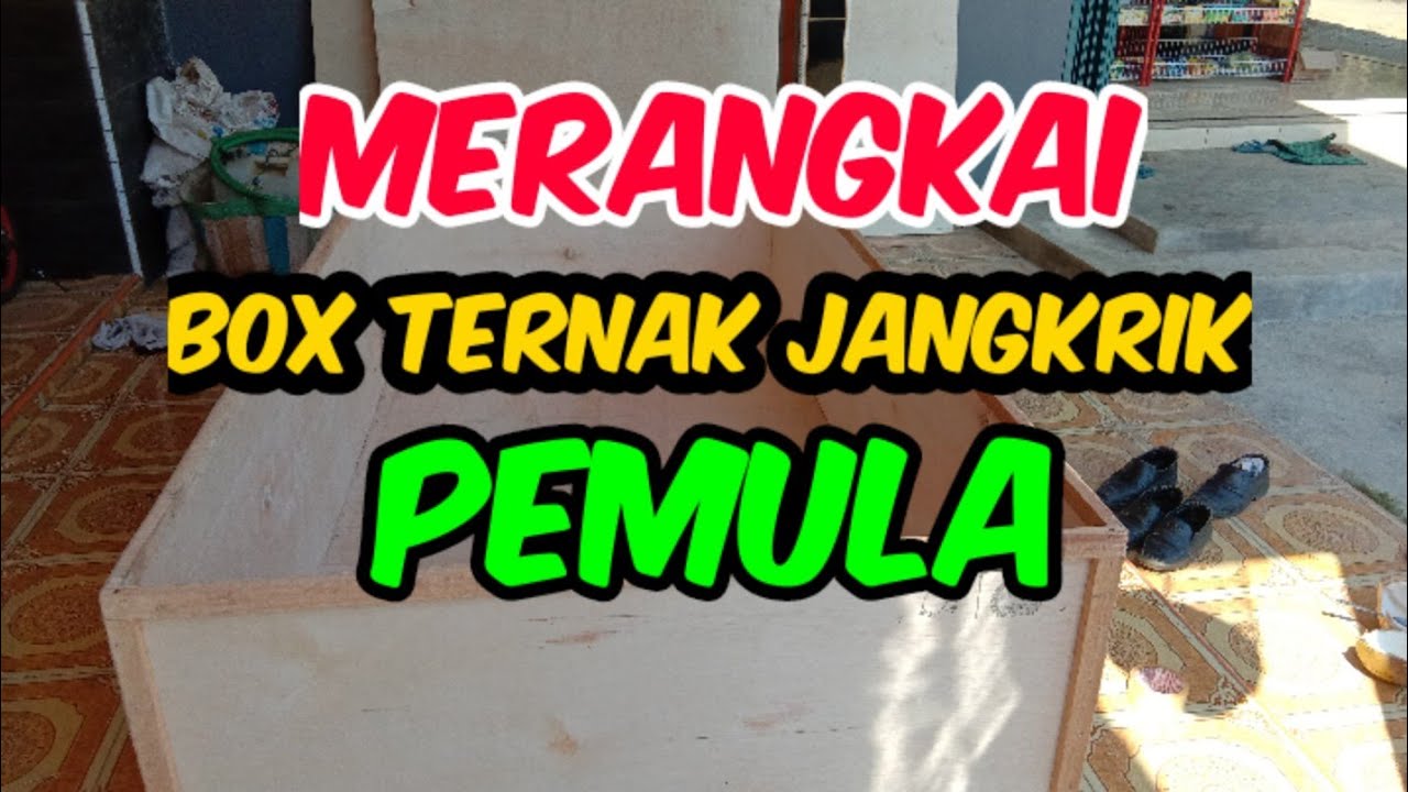 Cara membuat / merangkai box ternak jangkrik pemula - YouTube