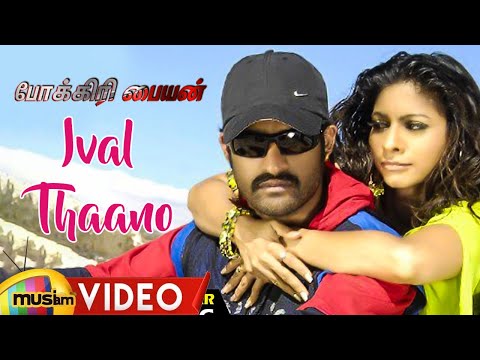 Pokkiri Paiyan Tamil Movie Songs | Ival Thaano Video Song | Jr NTR | Hansika | Tanisha | MMT