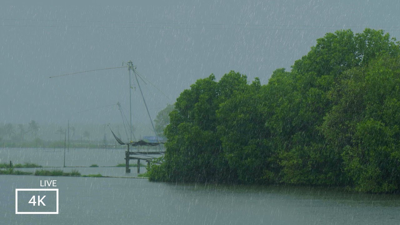 Ultimate Rain ASMR: Beautiful Nature Rain: Soothing Sounds for Sleep ...