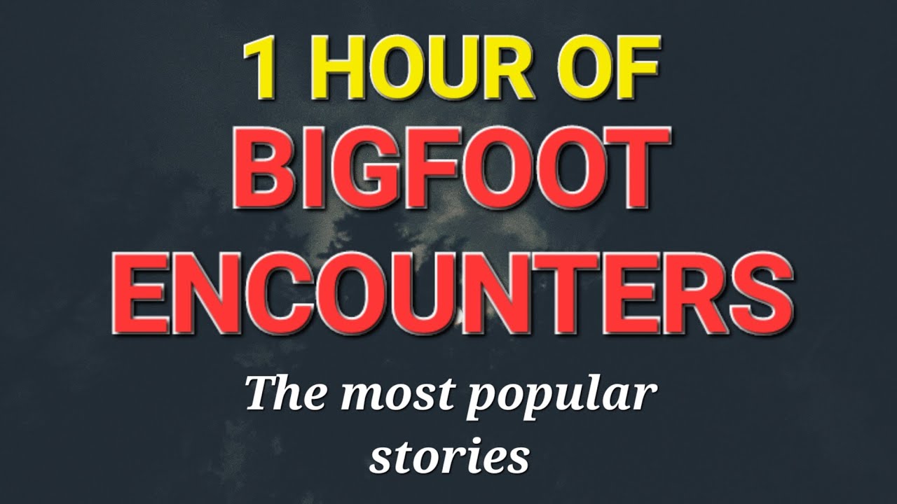 BEST OF BIGFOOT ENCOUNTERS NARRATED - YouTube