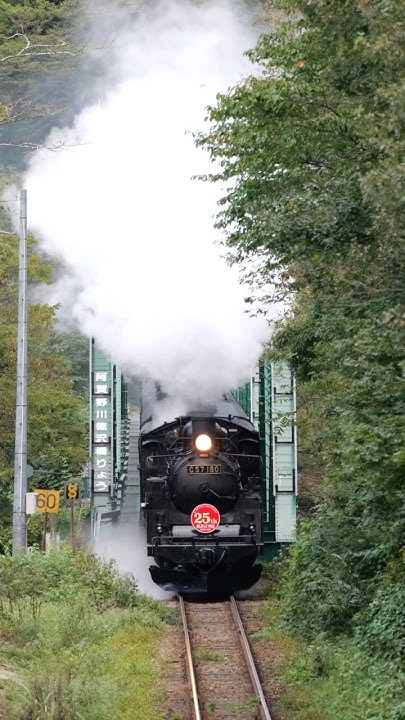 【4K縦動画】C57-180 SLばんえつ物語 徳沢橋梁白煙通過！ JR East Railway Steam locomotive class C57 'Banetsu Monogatari ...