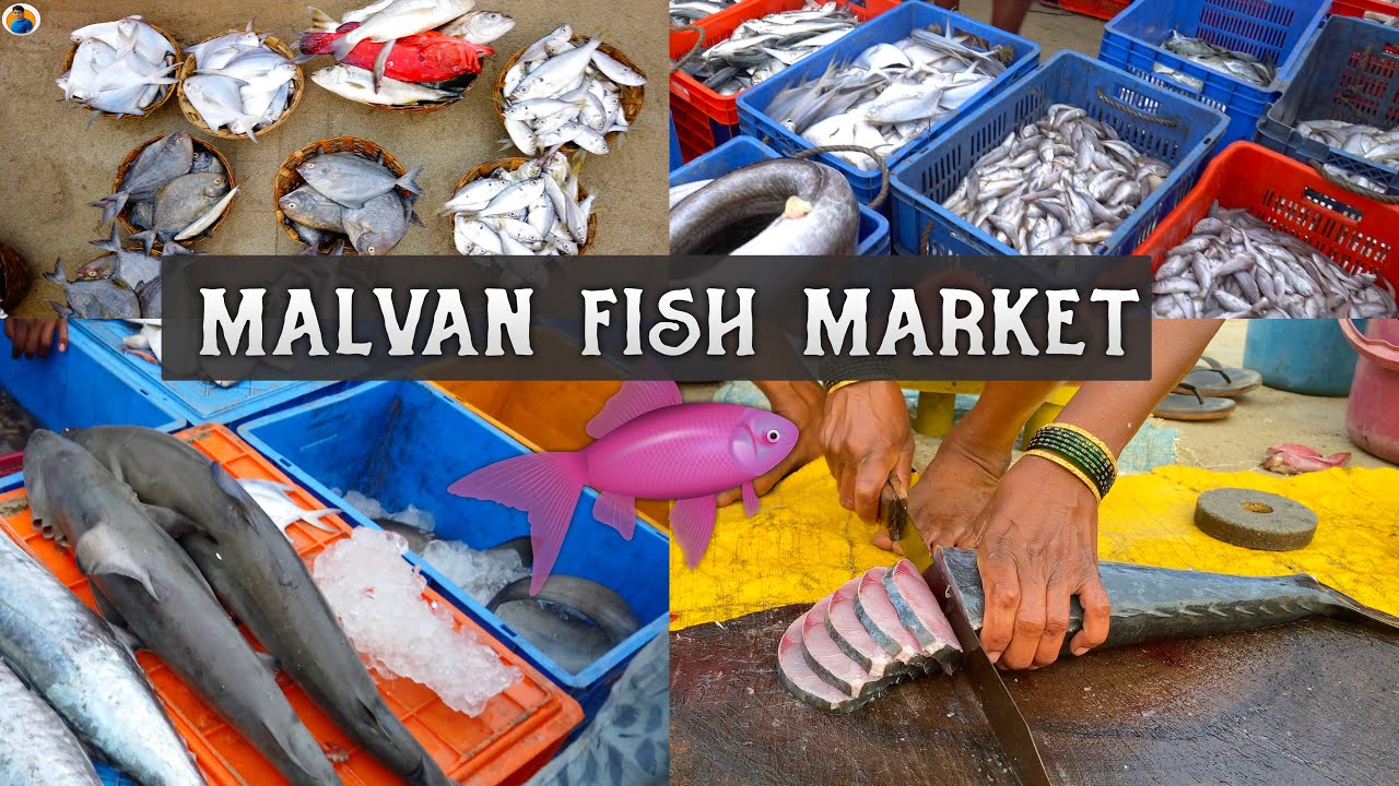 Malvan Fish Market । Surmai Fish Cutting at Malvan Fish Auction ...
