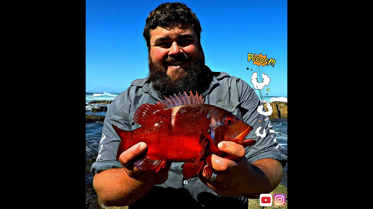 Fishing For Red Roman - YouTube