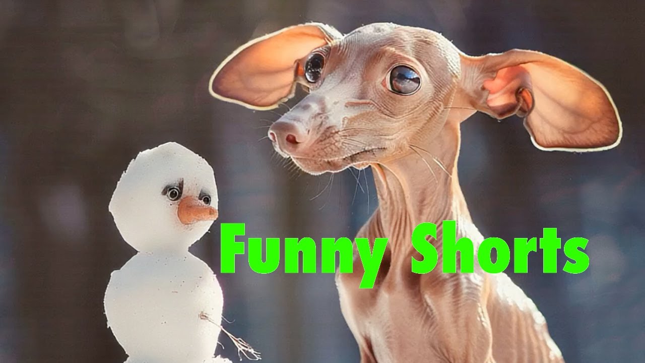 Funny Shorts Compilation #ai - YouTube