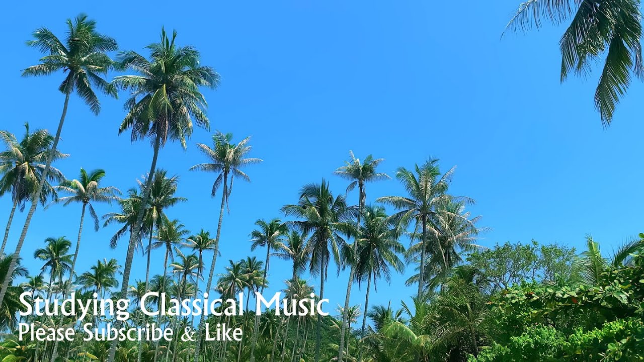 Studying Classical Music, Relaxation, Meditation, Calm, Sleep, Spa ...