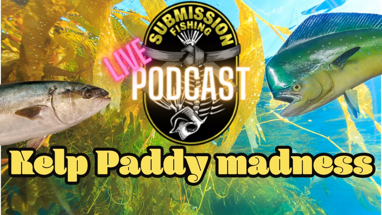 Paddy fishing! the Why and how! - YouTube