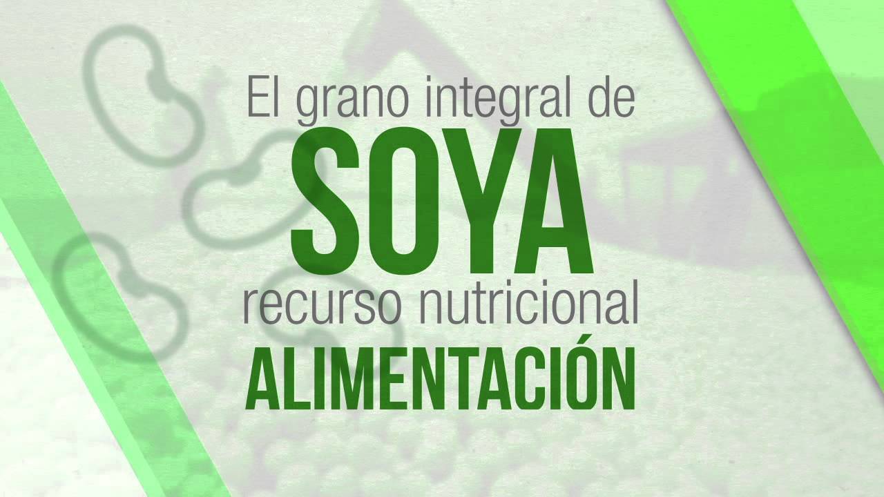 Grano integral Soya - YouTube