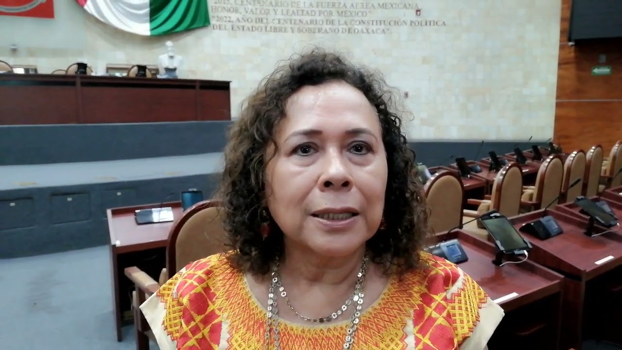 Hace un llamado enérgico diputada María Luisa Matus a edil Francisco ...