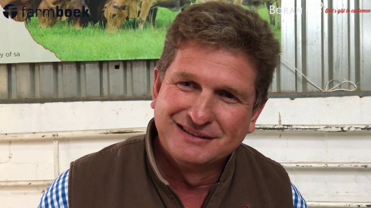 Boran Cattle breeders' Society of South Africa at Nampo Kaap 2019 ...