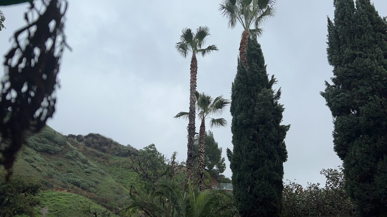 Rainy & Cold Tuesday Here in Southern California. Quick Update! - YouTube