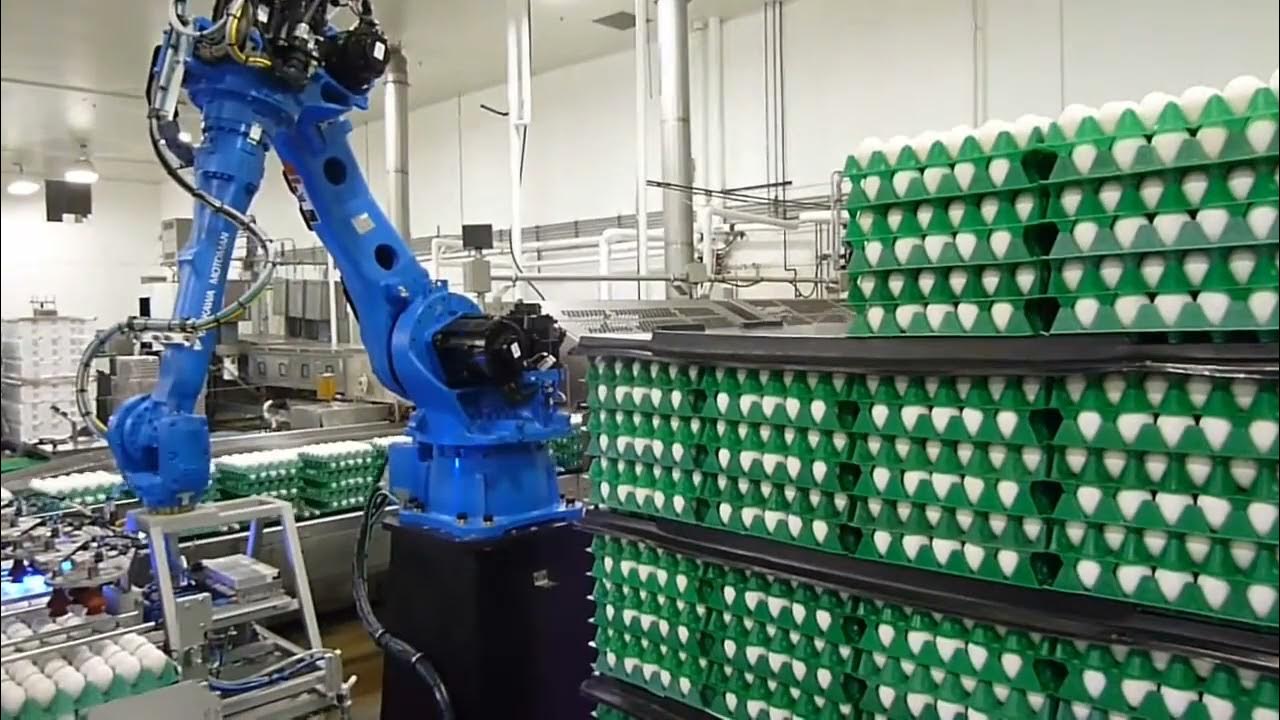 Egg Depalletizing Robotic Automation 2 - YouTube