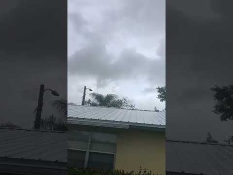 Currently in Pbc south east Florida - YouTube