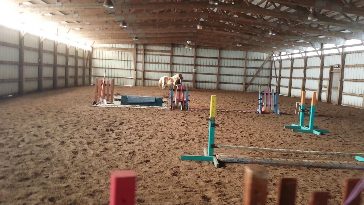 Mcro5 2016 More Sue and Ari Playing - YouTube