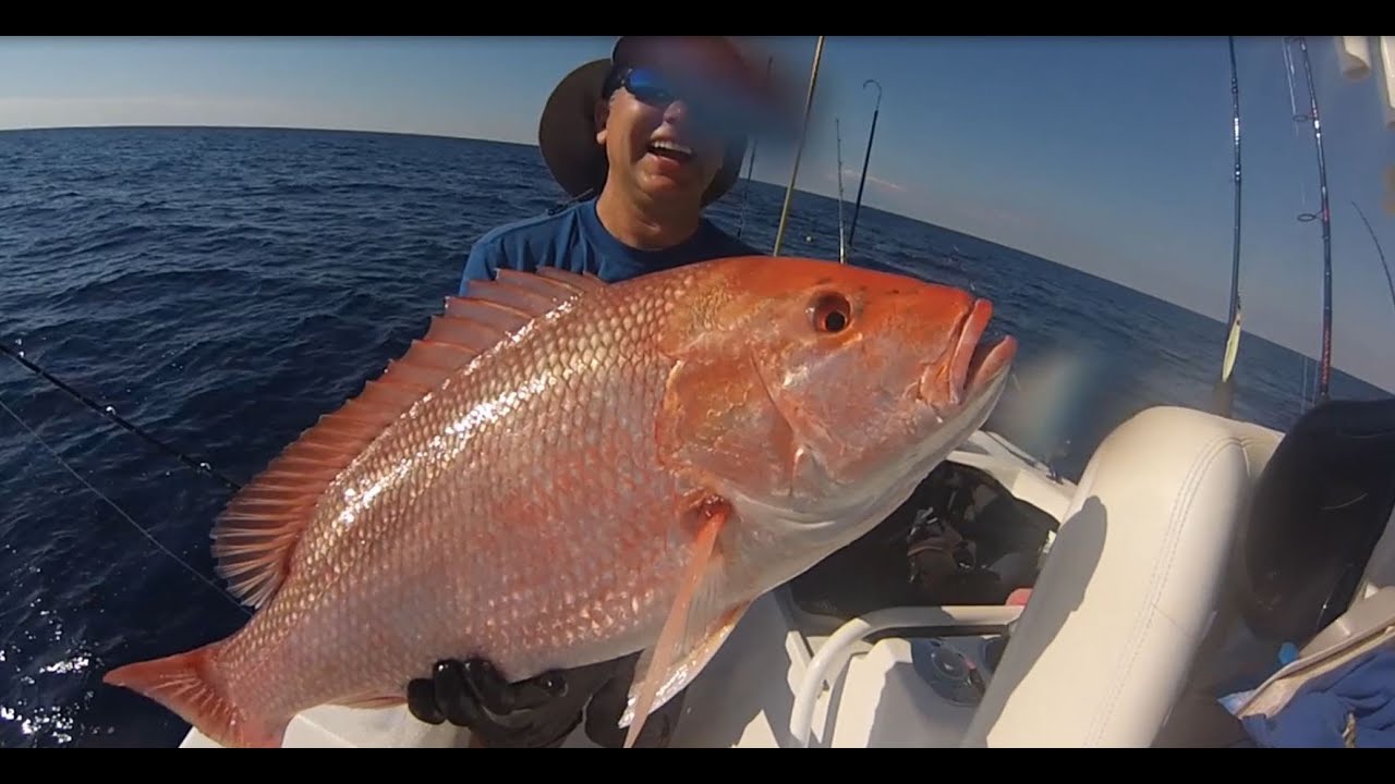 Fishing Offshore for American Red Snapper - YouTube