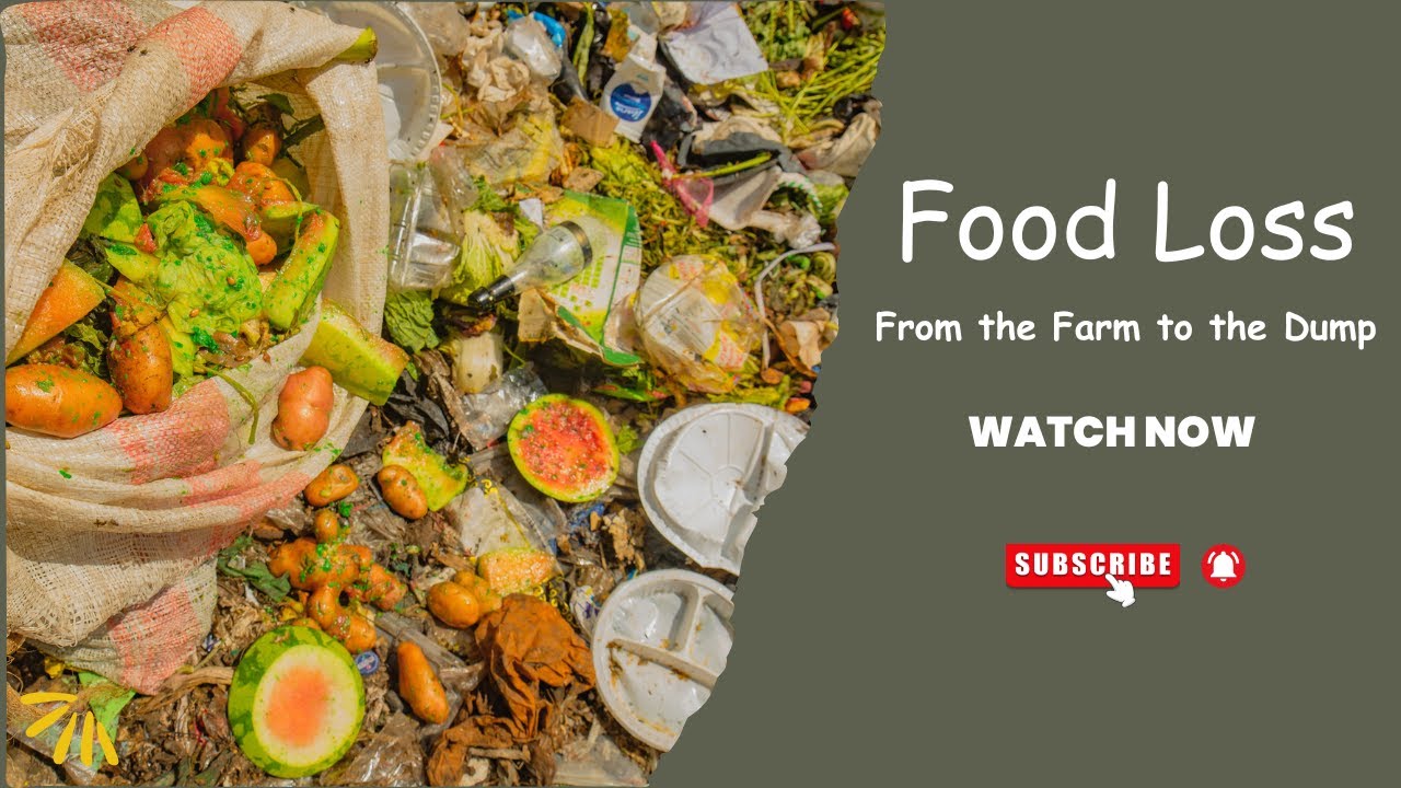 Food Loss: From the Farm to the Dump| #savefood #Food#foodsecurity ...