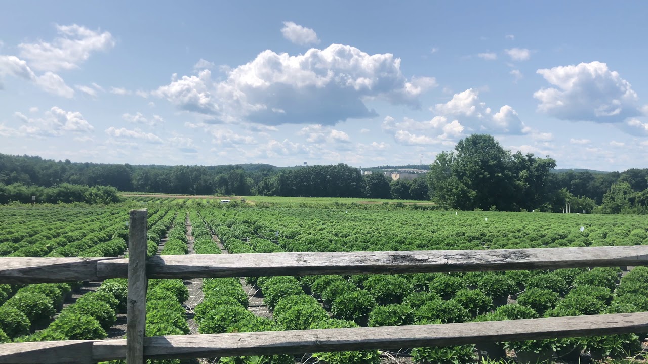 Wilson Farms of New Hampshire - YouTube