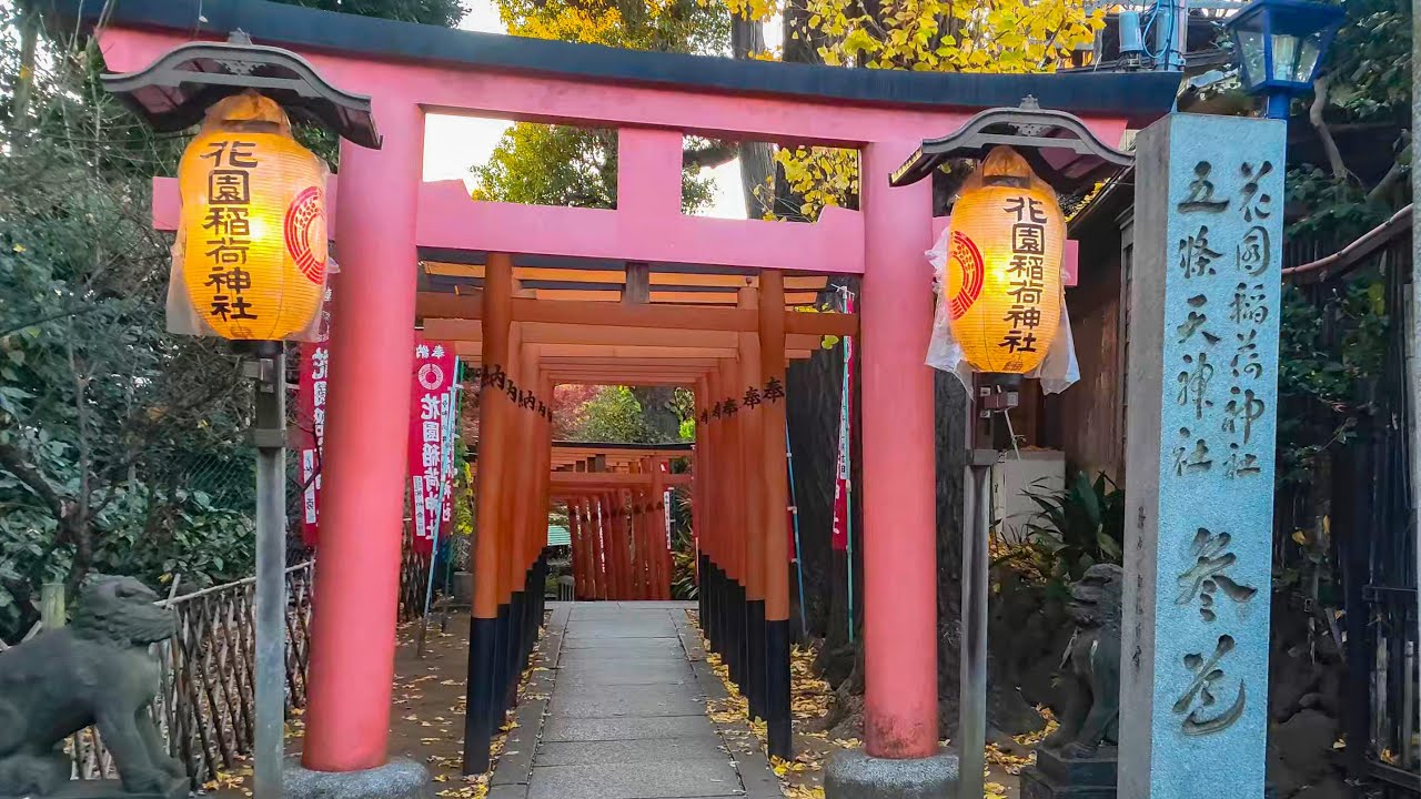 Japan City Walk | Tokyo | 漫步东京上野恩赐公园 | Ueno Park - YouTube