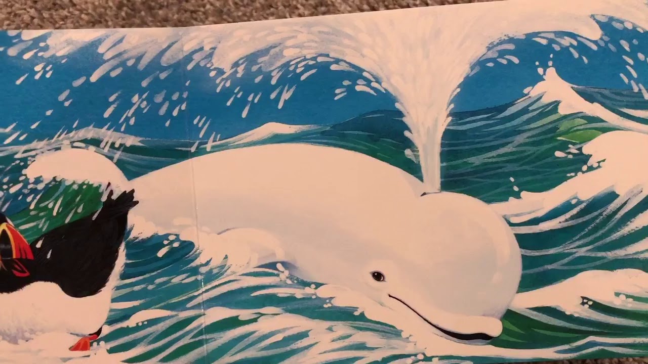 Baby Beluga (song book by Raffi) - YouTube
