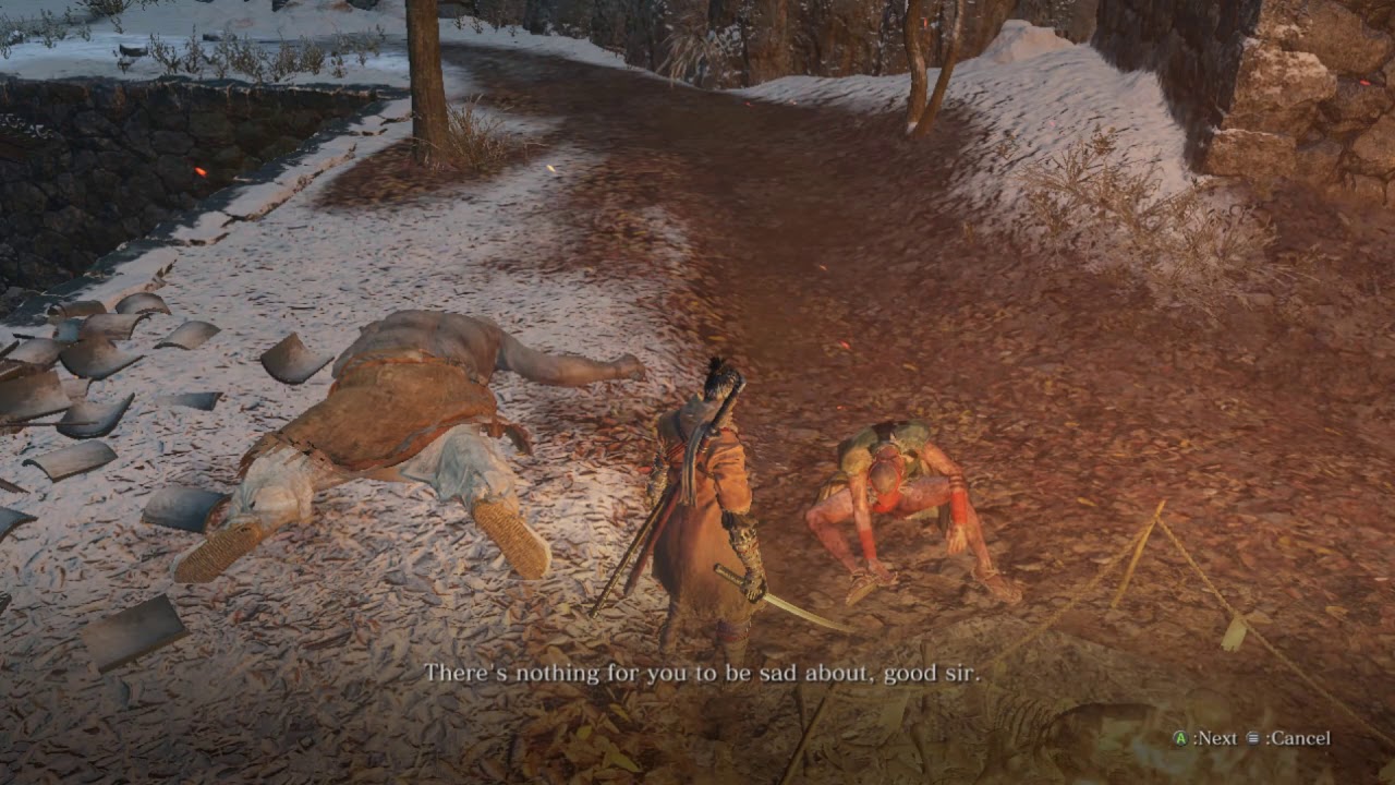 Sekiro - Anayama Divine Grass Replaces Promissory Note in NG+ and ...
