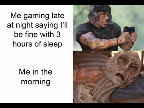 50 Memes for Snoozing on a Sunday - YouTube