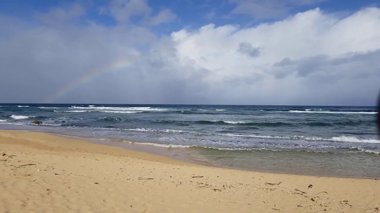 Lihue - Kauai Beach Resort (Beach and Grounds) - YouTube
