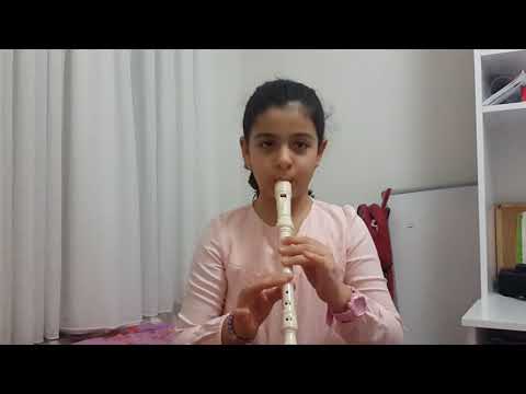 Arkadaşım eşşek parçasının flütle çalınışı...