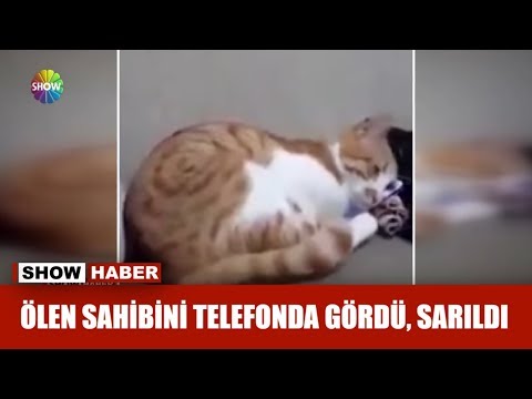Ölen sahibini telefonda gördü, sarıldı