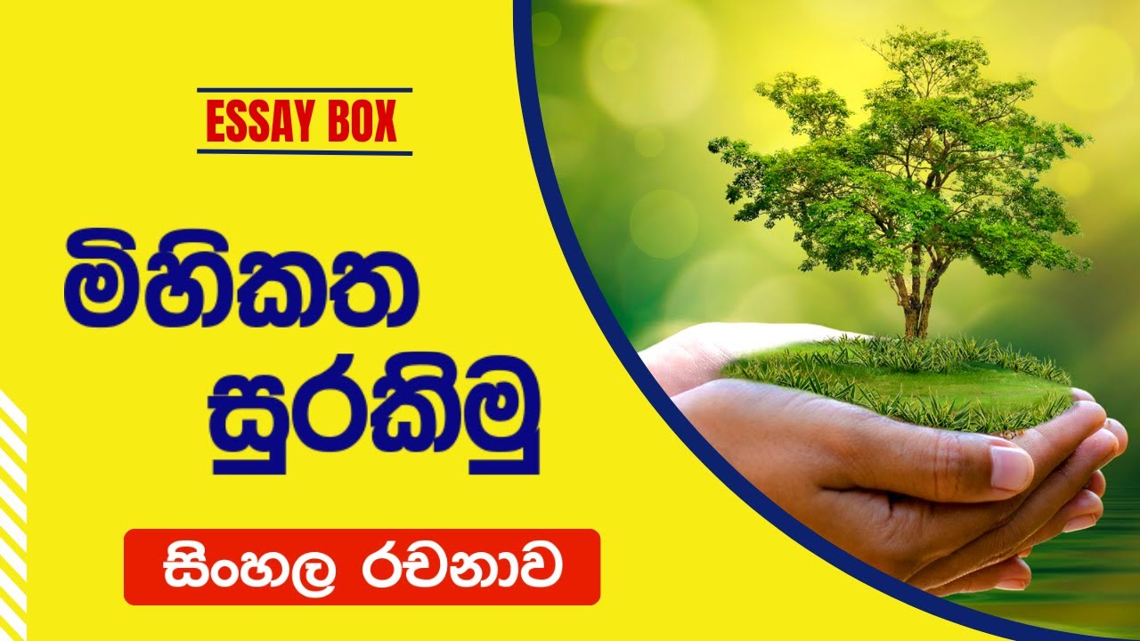 මිහිකත සුරකිමු සිංහල රචනාව 2024 | 6,7,8,9,10 ශ්‍රේණි රචනා | Let's save ...