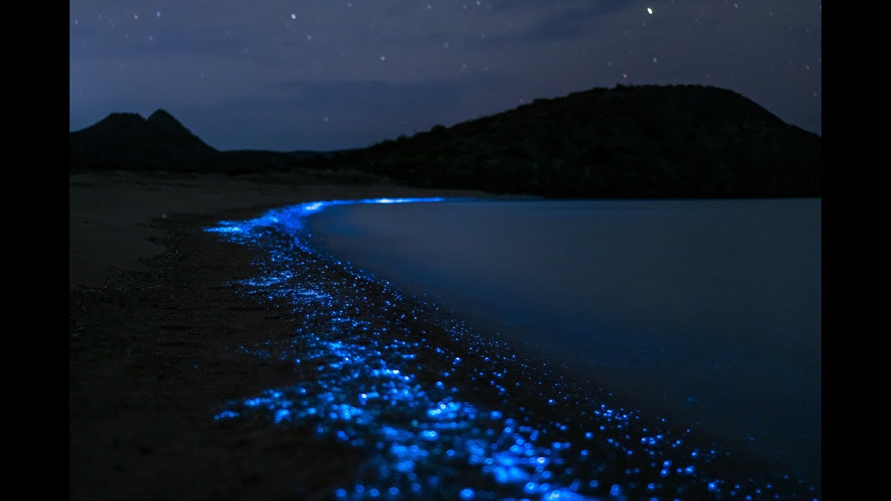 Sea of Stars - Vaadhoo Island, Maldives - YouTube