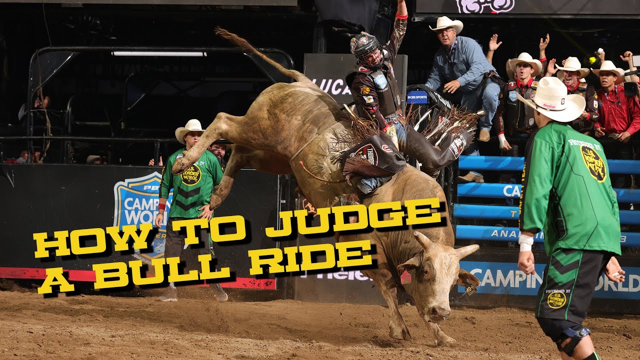 How to Judge a Bull Ride - YouTube