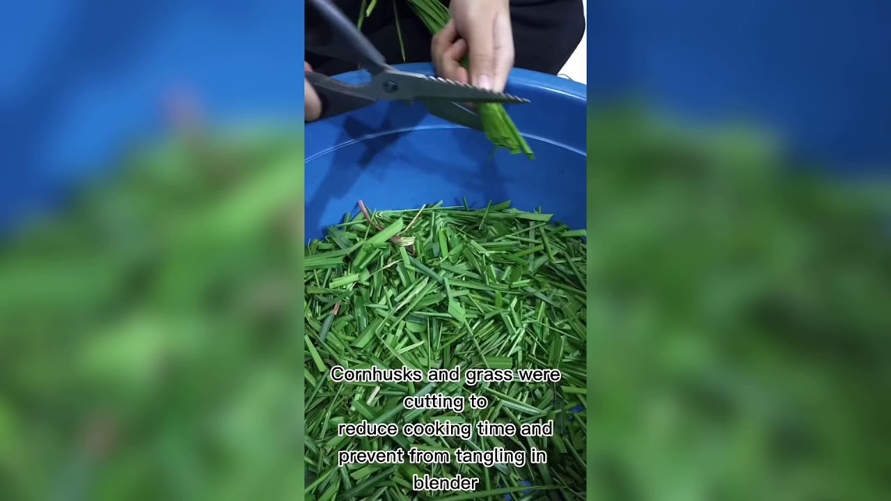 Making Paper From Corn Husk And Grass - YouTube