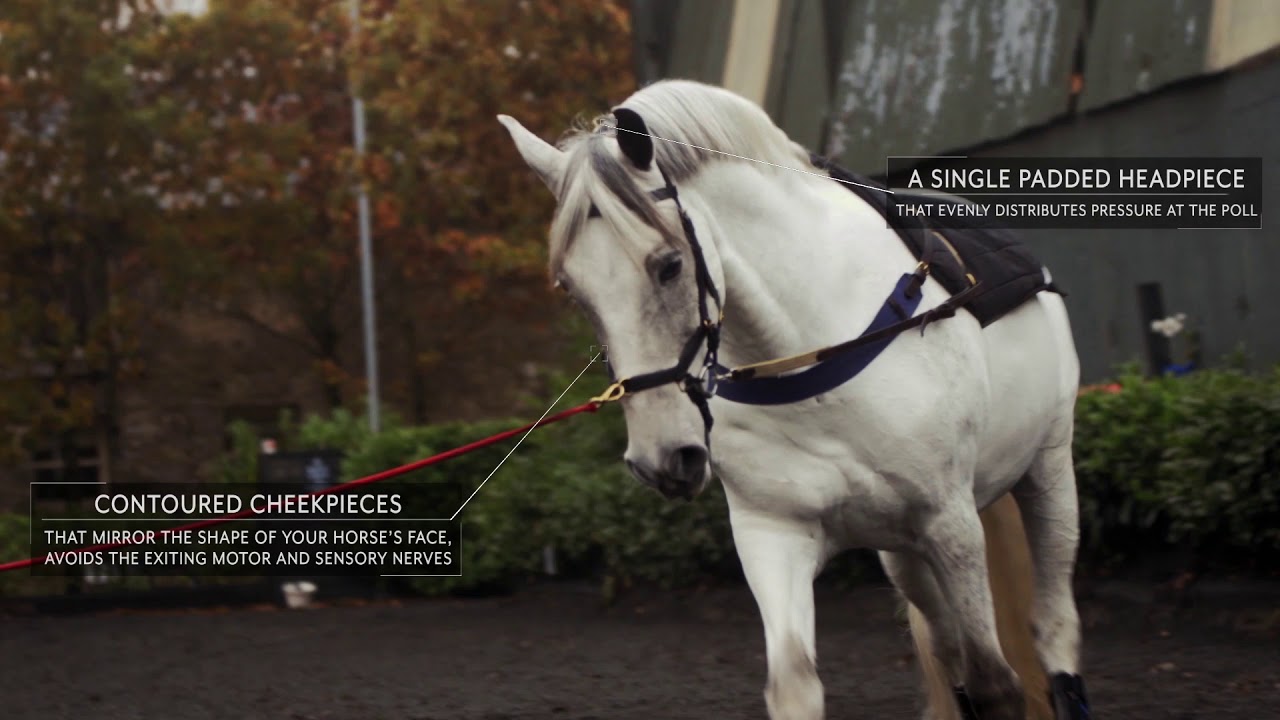 Horseware - Rambo Micklem Multibridle - YouTube